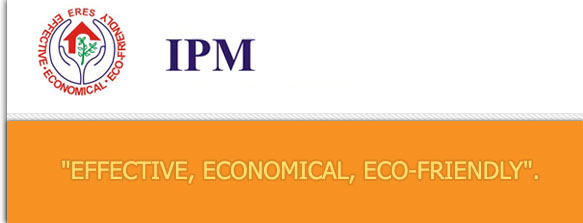 Welcome to IPM